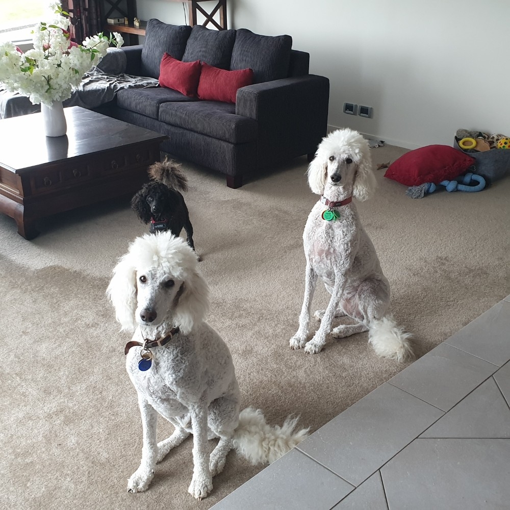 The Distinguished Gentleman's Ride - Andy Leach