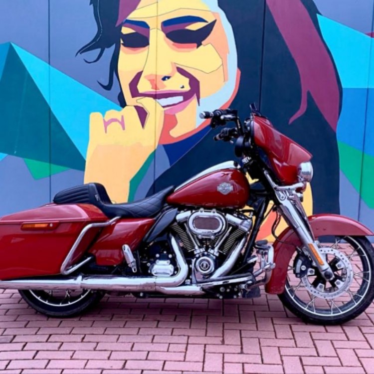 The Distinguished Gentleman's Ride - Sandra Bartel